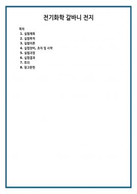 전기화학 갈바니 전지-1페이지