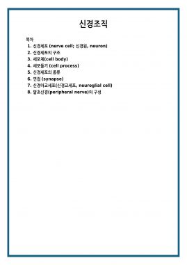 신경조직 레포트 자료-1페이지
