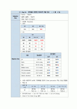 분비물과 관련된 비효율적 호흡 양상(폐렴)-1페이지