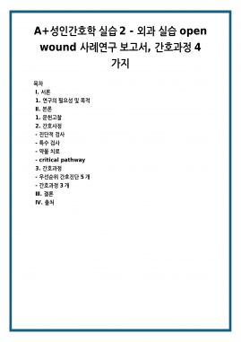 성인간호학 실습2 - 외과 실습 open wound 사례연구 보고서, 간호과정 4가지-1페이지
