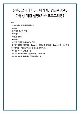상속, 오버라이딩, 패키지, 접근지정자, 다형성 개념 설명(자바 프로그래밍)-1페이지