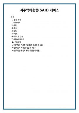 지주막하출혈(SAH) 케이스-1페이지
