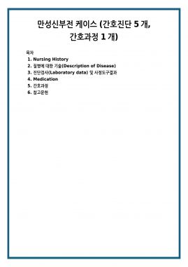 만성신부전 케이스 (간호진단 5개, 간호과정 1개)-1페이지