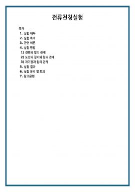 전류천칭실험-1페이지