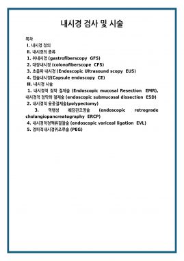 내시경 검사 및 시술-1페이지