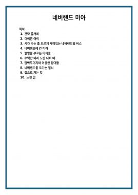 네버랜드 미아-1페이지