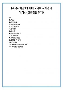 [지역사회간호] 치매 오마하 사례관리 케이스(간호진단 3개)-1페이지