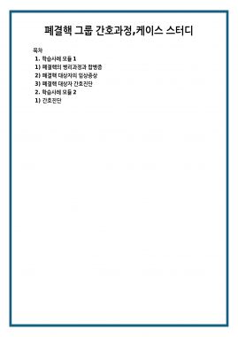 폐결핵 그룹 간호과정,케이스 스터디-1페이지