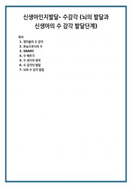 신생아인지발달- 수감각 (뇌의 발달과 신생아의 수 감각 발달단계)-1페이지