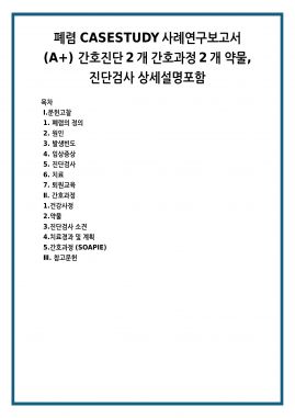 폐렴 CASESTUDY사례연구보고서 간호진단2개 간호과정2개 약물,진단검사 상세설명포함-1페이지