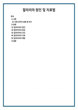 말라리아 원인 및 치료법-1페이지