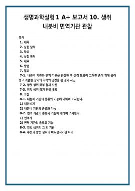 생명과학실험1 보고서 10. 생쥐 내분비 면역기관 관찰-1페이지