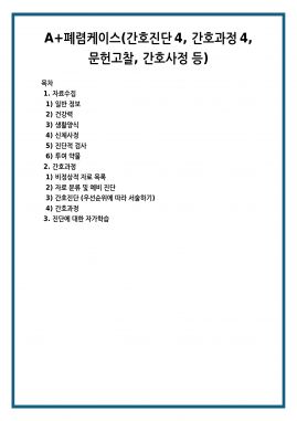 폐렴케이스(간호진단4, 간호과정4, 문헌고찰, 간호사정 등)-1페이지