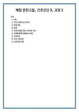 폐렴 문헌고찰, 간호진단3, 과정1-1페이지