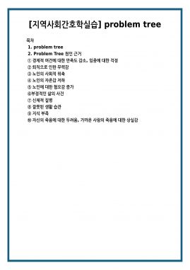[지역사회간호학실습] problem tree-1페이지