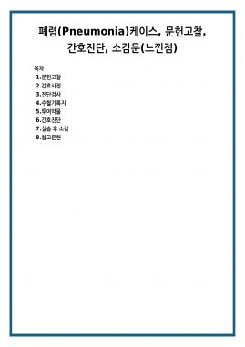 폐렴(Pneumonia)케이스, 문헌고찰, 간호진단, 소감문(느낀점)-1페이지