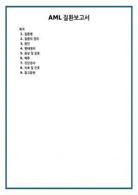 AML질환보고서-1페이지