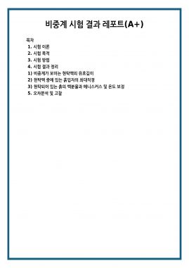 비중계 시험 결과-1페이지
