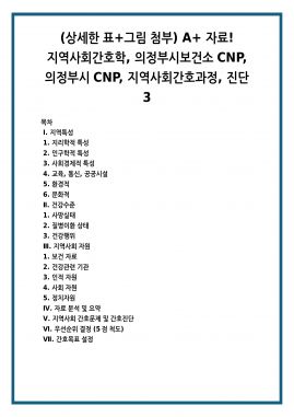 (상세한 표그림 첨부) 자료 지역사회간호학, 의정부시보건소 CNP, 의정부시 CNP, 지역사회간호과정, 진단3-1페이지