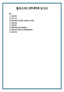 폴라스미드 RT-PCR 보고서-1페이지