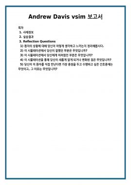 Andrew Davis vsim 보고서 (1)-1페이지