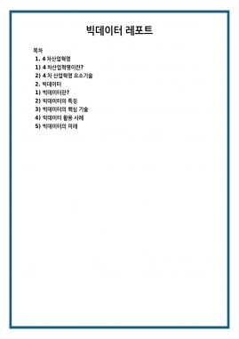빅데이터 레포트-1페이지