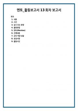 멘토_활동보고서 13회차 보고서-1페이지