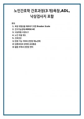 노인간호학 간호과정(3개)욕창,ADL,낙상검사지 포함-1페이지