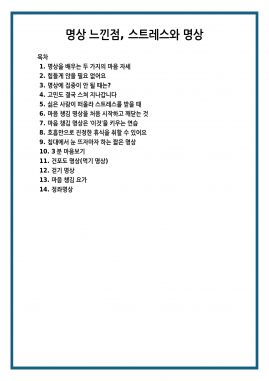 명상 느낀점, 스트레스와 명상-1페이지
