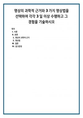 명상의 과학적 근거와 3가지 명상법을 선택하여 각각 3일 이상 수행하고 그 경험을 기술하시오 (43)-1페이지