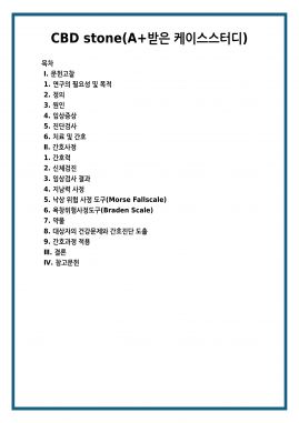 CBD stone(받은 케이스스터디)-1페이지