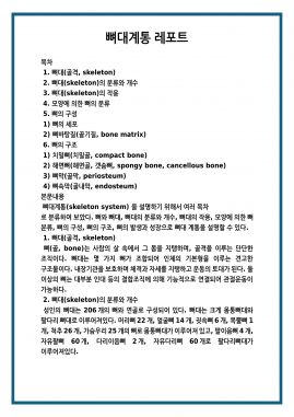 뼈대계통 레포트-1페이지