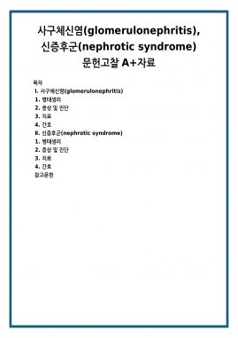 사구체신염(glomerulonephritis),신증후군(nephrotic syndrome) 문헌고찰 자료-1페이지