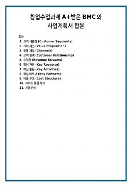 창업수업과제 받은 BMC와 사업계획서 합본-1페이지