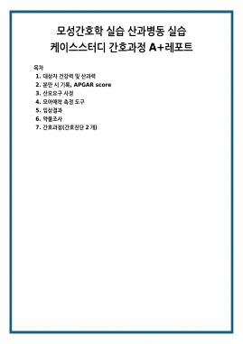 모성간호학 실습 산과병동 실습 케이스스터디 간호과정-1페이지