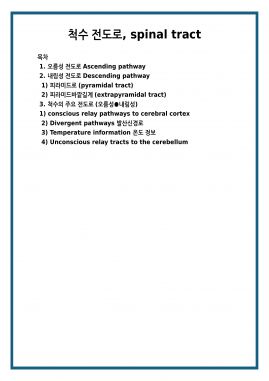 척수 전도로, spinal tract-1페이지