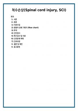 척수손상(Spinal cord injury, SCI)-1페이지
