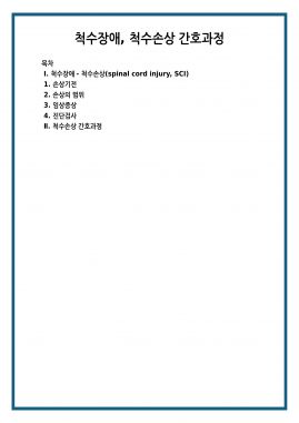 척수장애, 척수손상 간호과정-1페이지