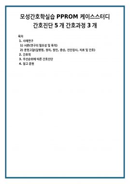 모성간호학실습 PPROM 케이스스터디 간호진단 5개 간호과정 3개-1페이지