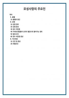 모성사망의 주요인-1페이지