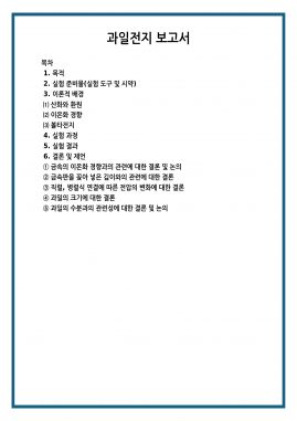 과일전지 보고서-1페이지