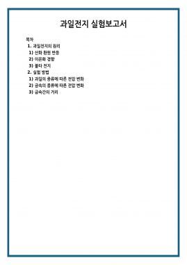 과일전지 실험보고서-1페이지