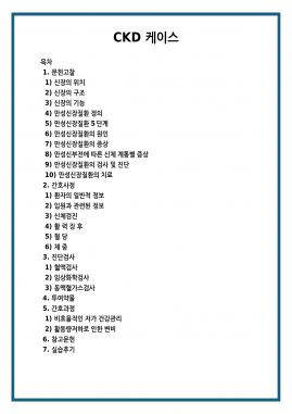 CKD 케이스 레포트 자료-1페이지
