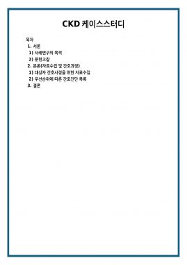 CKD케이스스터디-1페이지