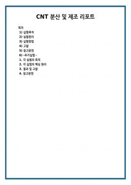 CNT 분산 및 제조 리포트-1페이지