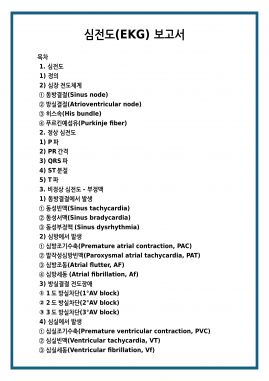 심전도(EKG) 보고서-1페이지