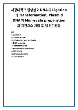 서강대학교 현생실2 DNA의 Ligation과 Transformation, Plasmid DNA의 Mini-scale preparation과 제한효소 처리 후 젤 전기영동-1페이지