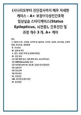 (시나리오부터 진단검사까지 매우 자세한 케이스 - 보장)성인간호학 임상실습 스터디케이스(Status Epilepticus, 뇌전증), 간호진단 및 과정 개수 3개.-1페이지
