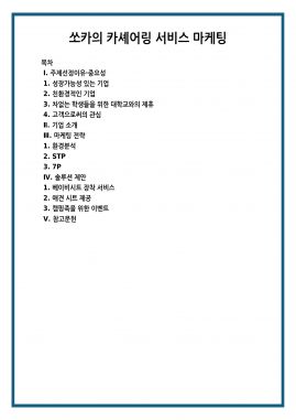 쏘카의 카셰어링 서비스 마케팅-1페이지