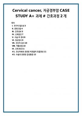 Cervical cancer, 자궁경부암 CASE STUDY 과제 간호과정 2개-1페이지